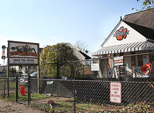 THE RUFF RULES - House of Hounds